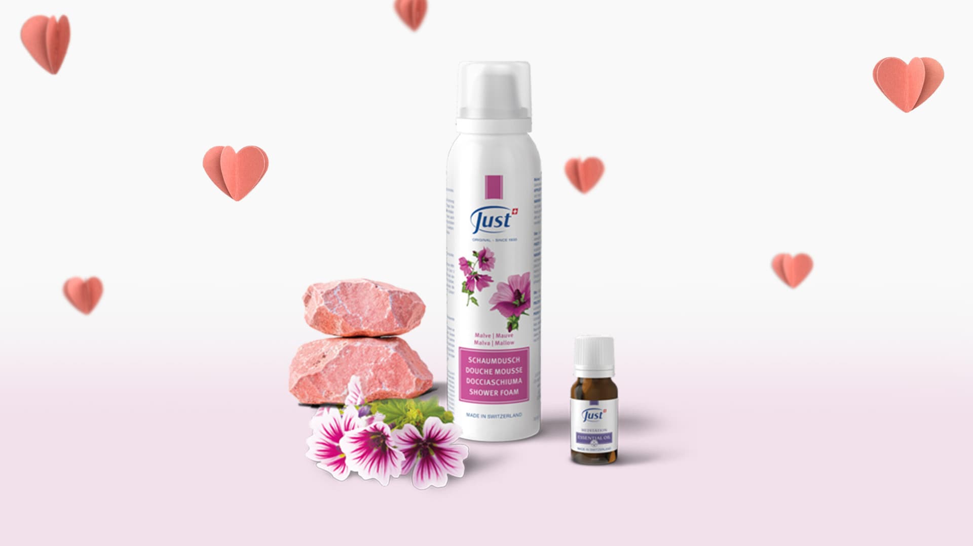 Narosan čučoriedka - JUST Nahrin